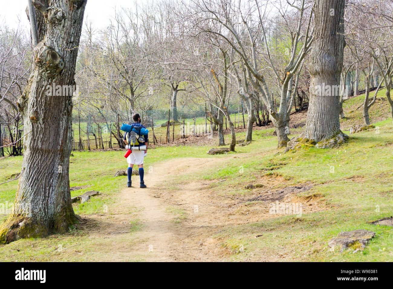 Un randonneur randonnées sur le chemin des dieux en Italie entre ...