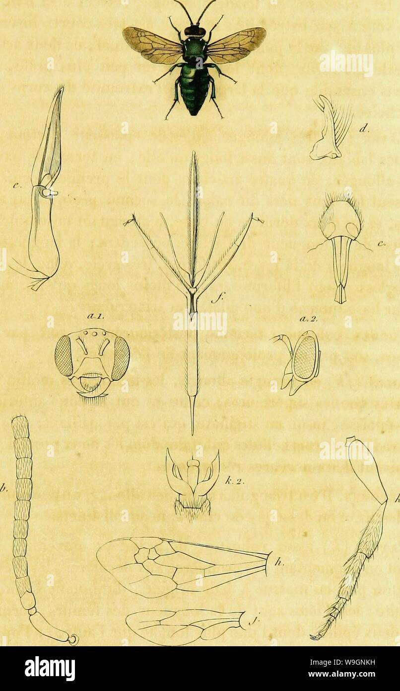 Dessin de pa paris Banque de photographies et d’images à haute ...