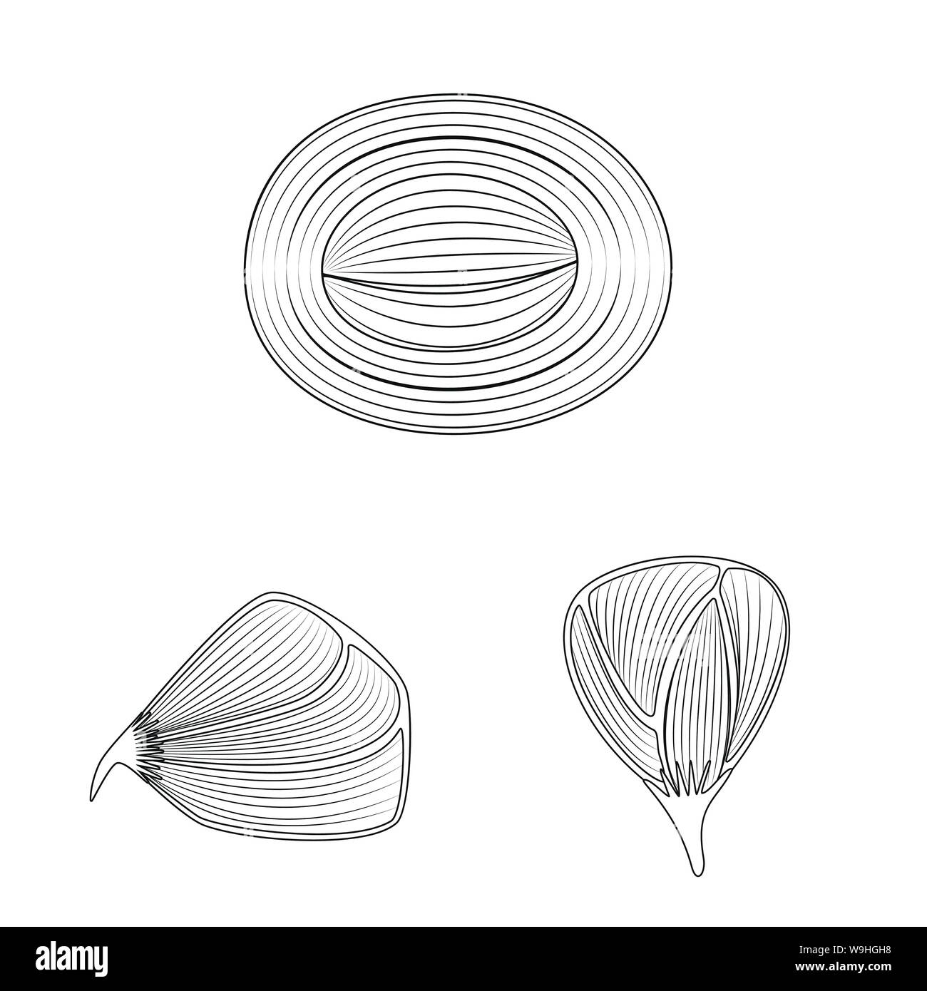 La Conception De La Fibre Et Vecteur Symbole Musculaire Collection De Fibres Et De Corps
