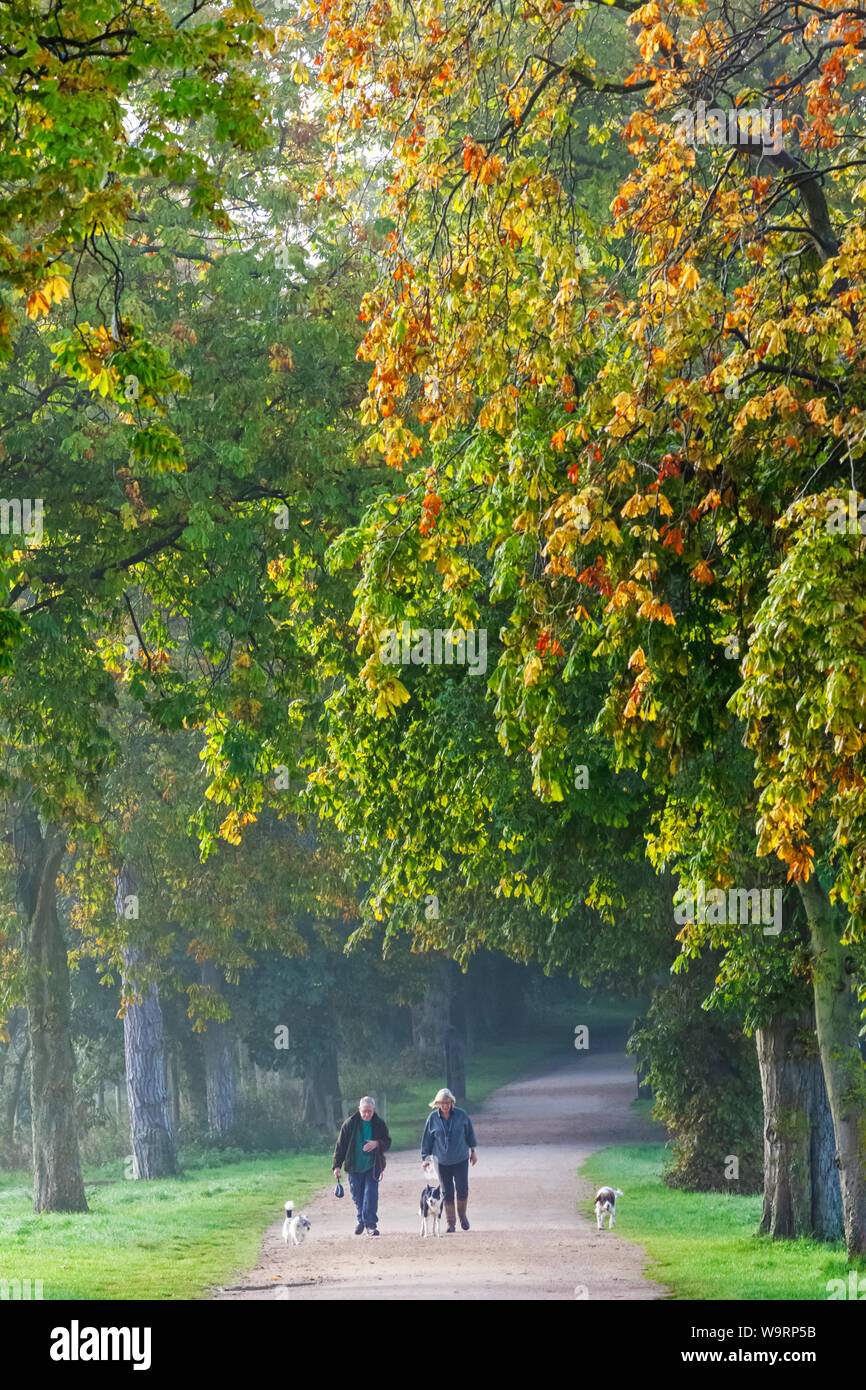 L'Angleterre, dans le Buckinghamshire, Stowe Stowe, paysage de jardins ...