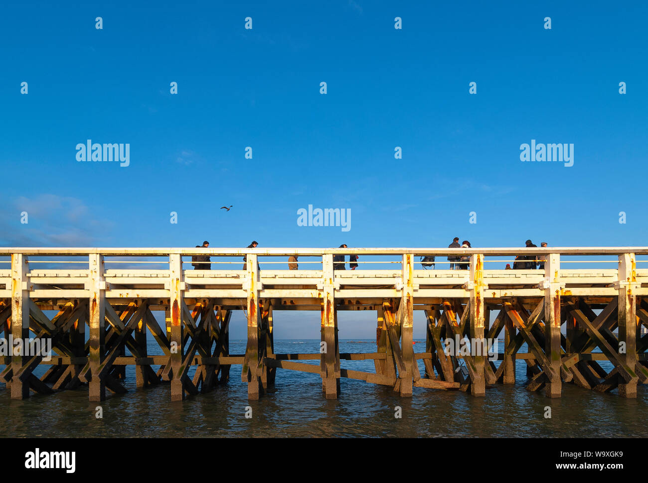 Flemish people Banque de photographies et d’images à haute résolution - Alamy