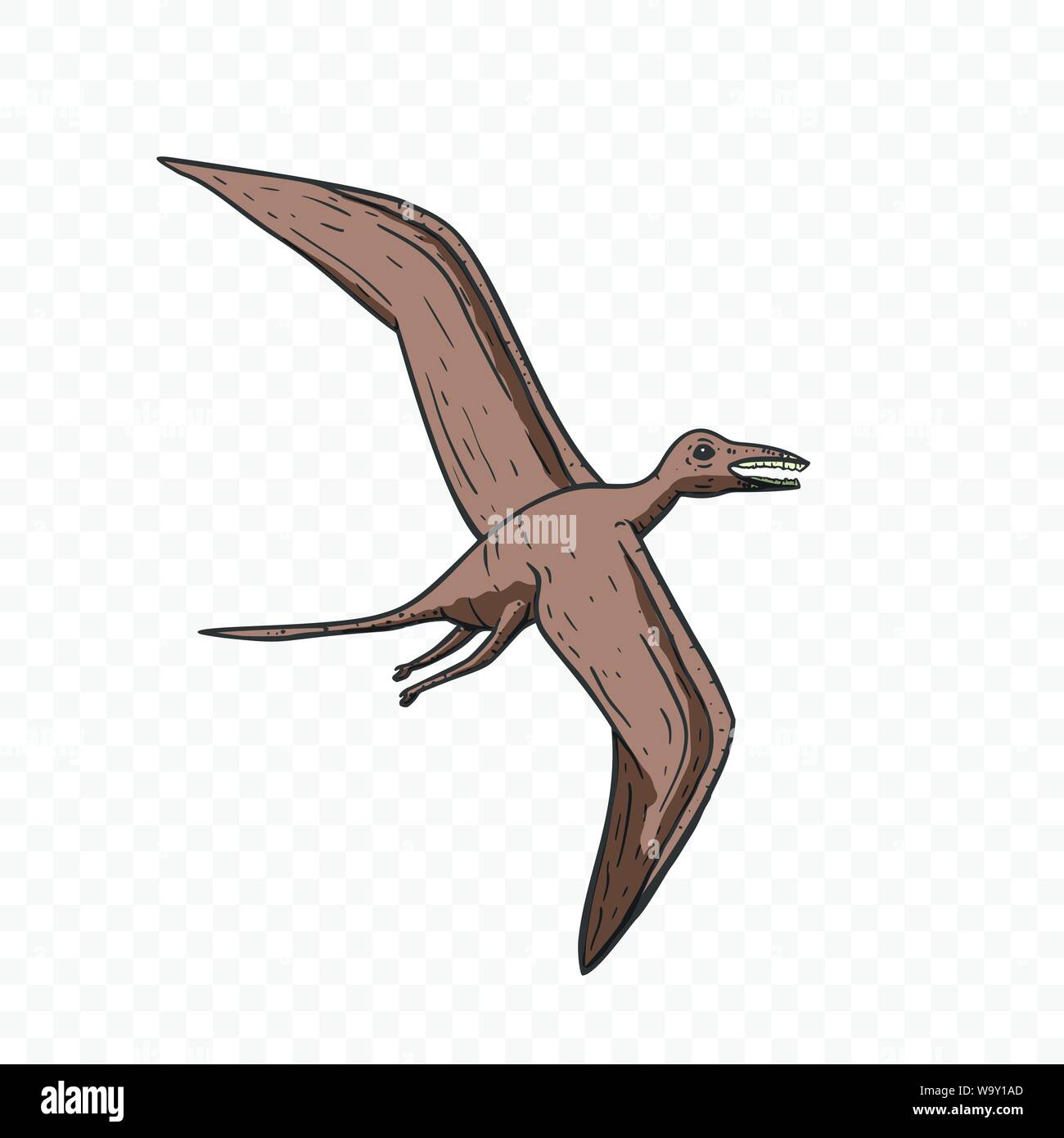 Dinosaur pteranodon silhouette Banque de photographies et d’images à haute résolution - Alamy