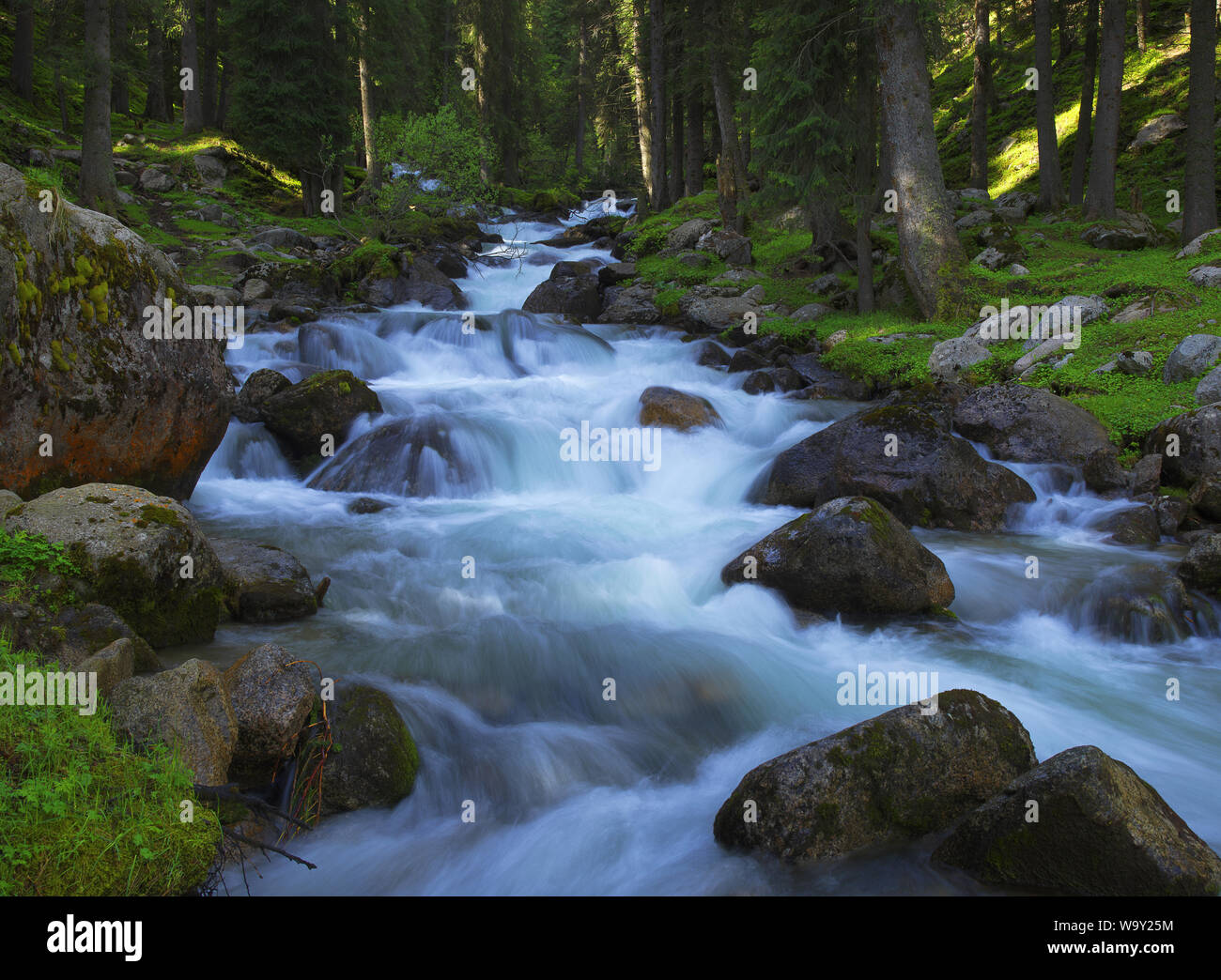 Ruisseaux forestiers Banque de photographies et d’images à haute ...