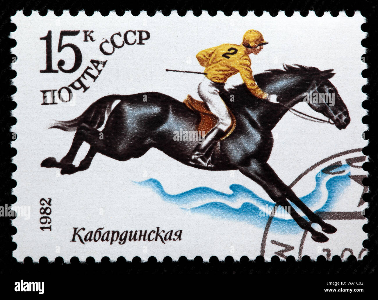 Race de kabarda Banque de photographies et d’images à haute résolution ...