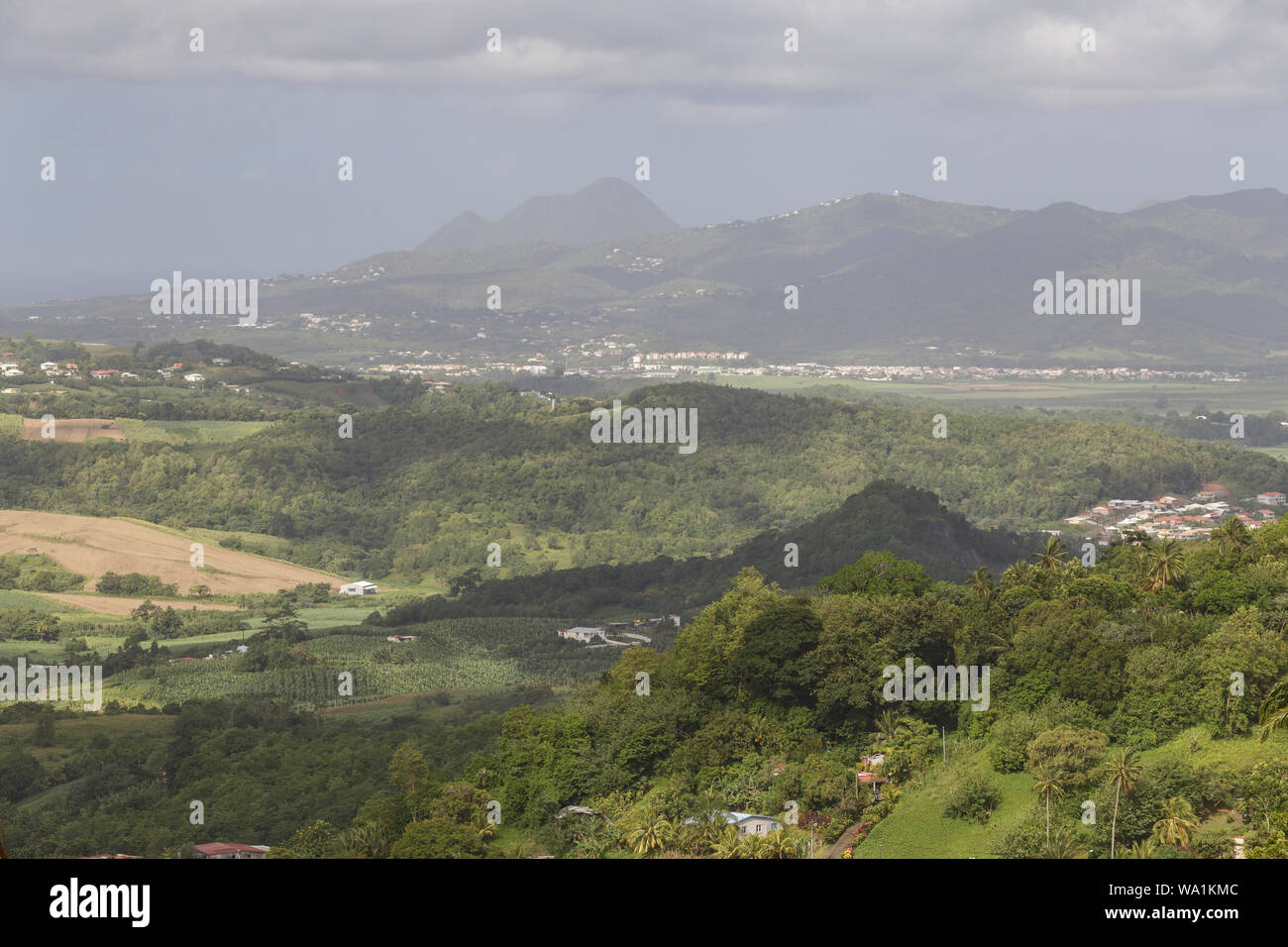 île martinique Banque de photographies et d’images à haute résolution - Alamy