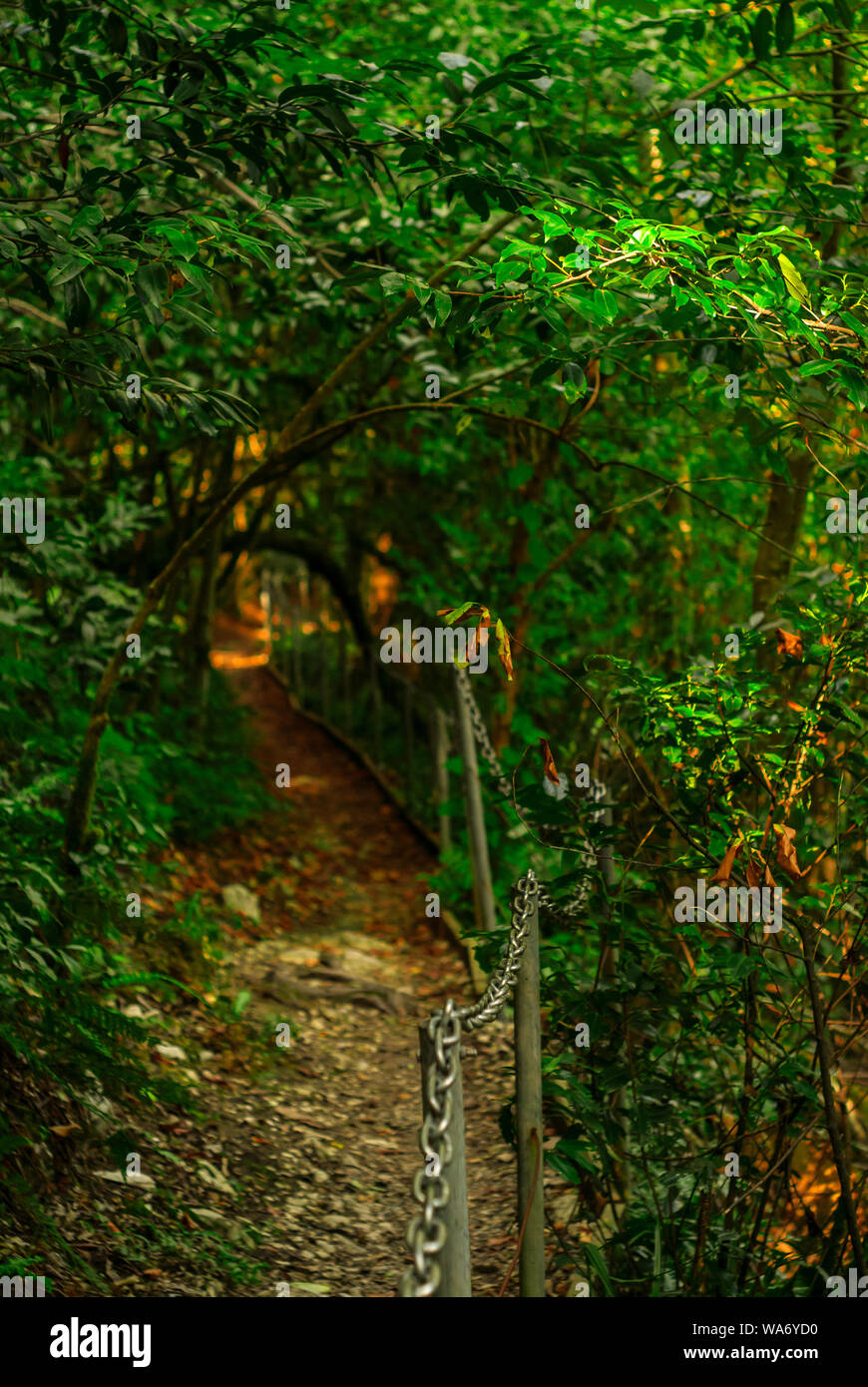 Arrière-plan flou, paysage - chemin ensoleillé avec garde-corps de la ...