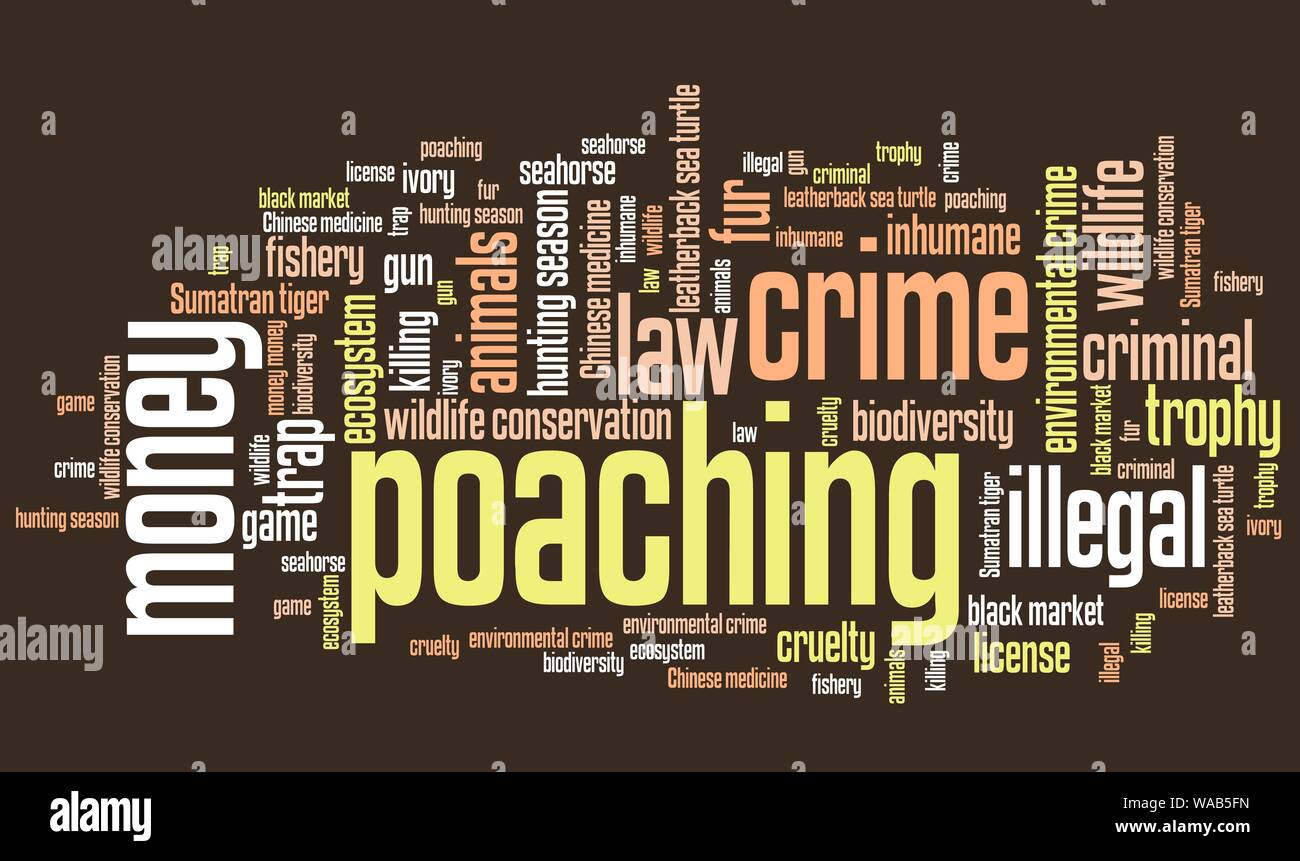 Le braconnage - questions environnementales et Nuage de mots concepts ...