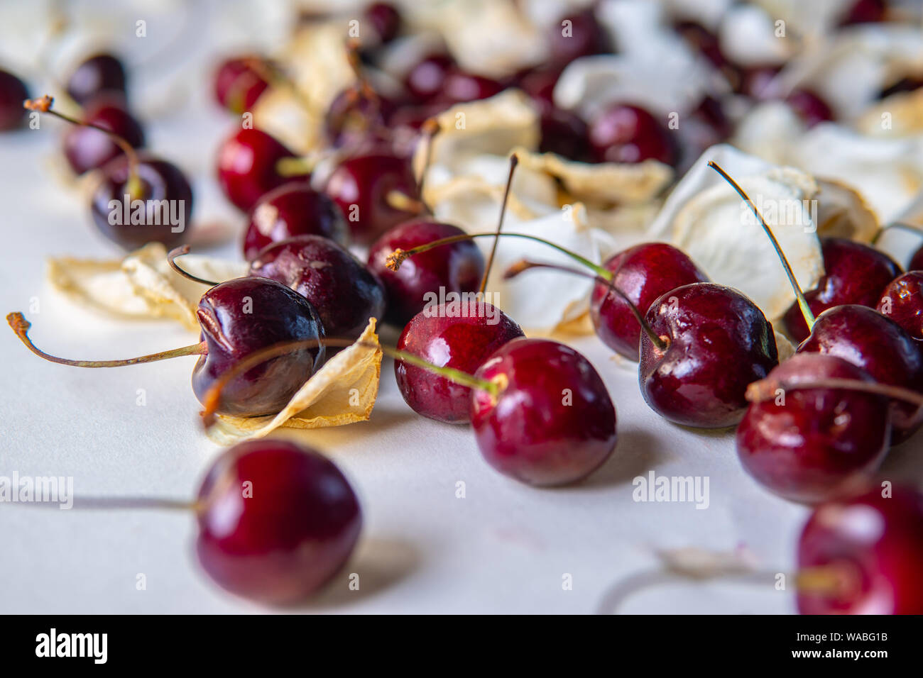 Sweet Cherry gâté du frigo, fruits pourris. Isolé sur fond blanc ...