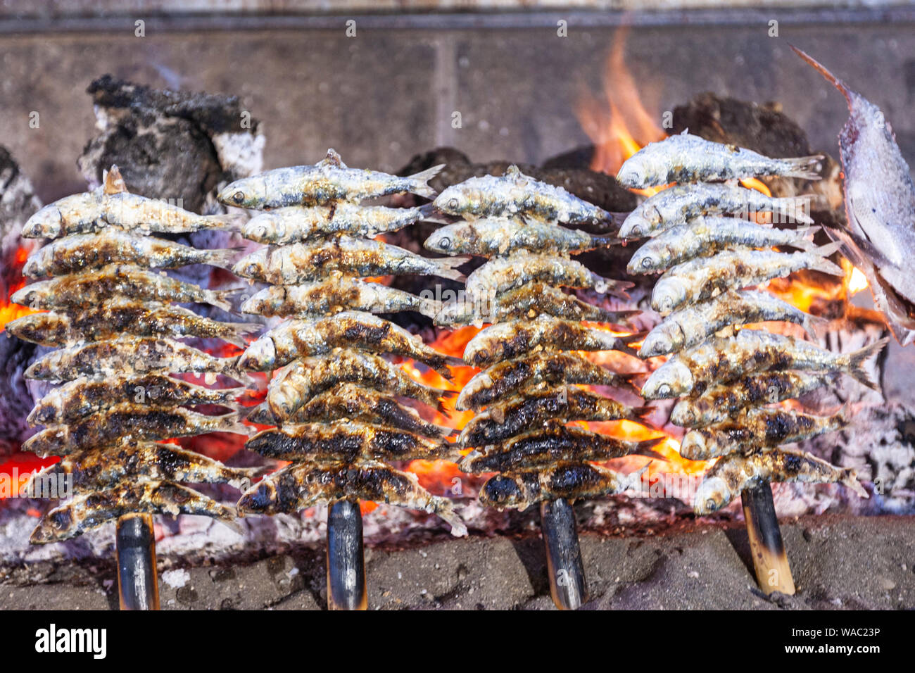 Préparer des brochettes de sardines Banque de photographies et d’images ...