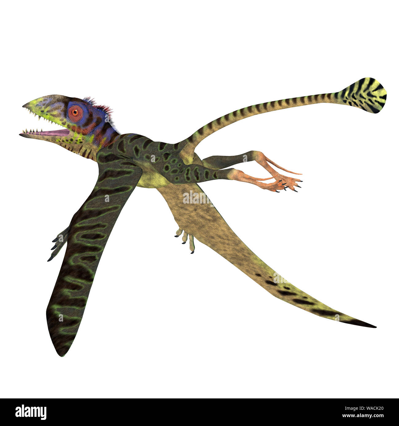 Peteinosaurus était un ptérosaure volant carnivore qui vivait en Italie ...