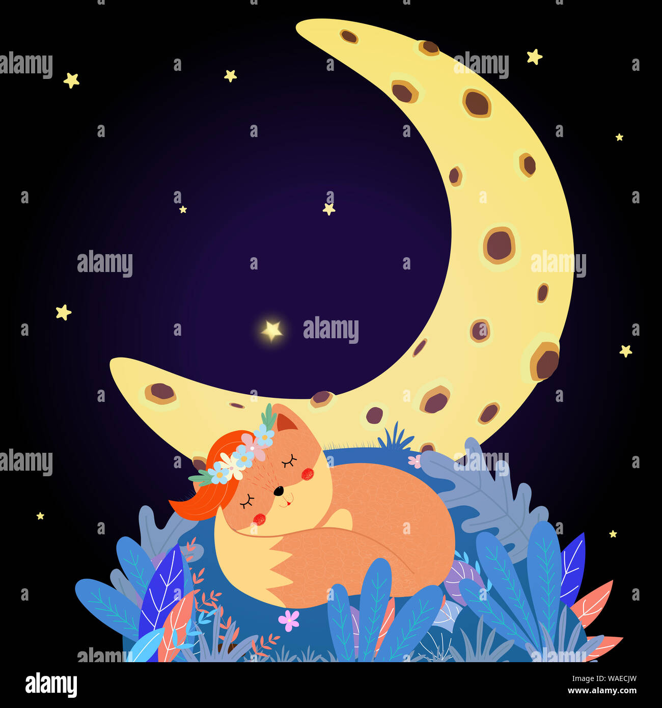 Cute fox dormir sur le champ sous lune ciel étoilé. Bonne nuit sweet ...