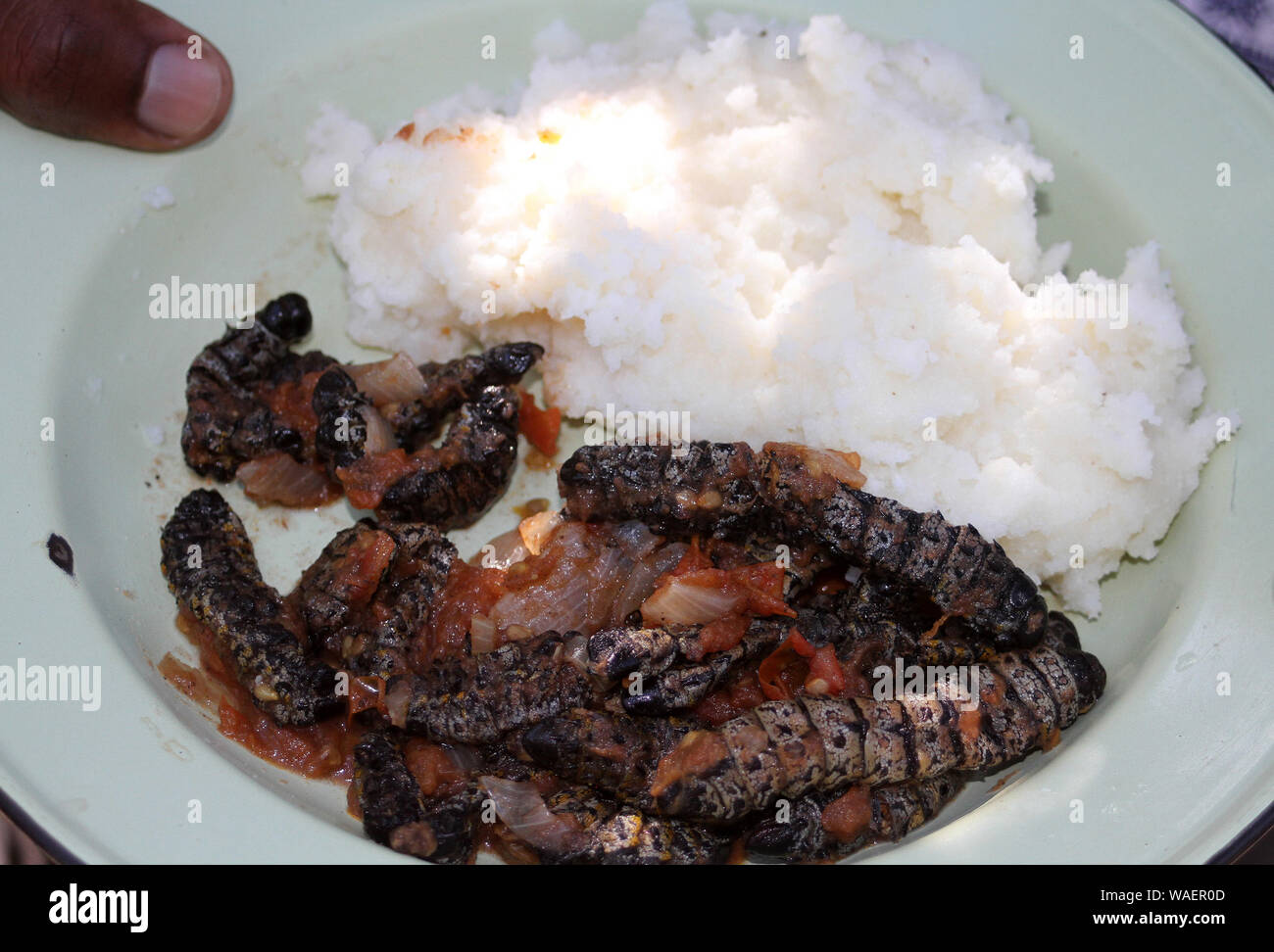 Mielie pap Banque de photographies et d’images à haute résolution - Alamy