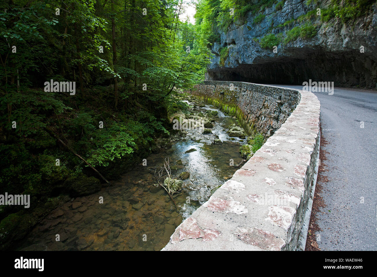 Gorges de la rivière Bourne da la Bourne Parc Naturel Régional du ...