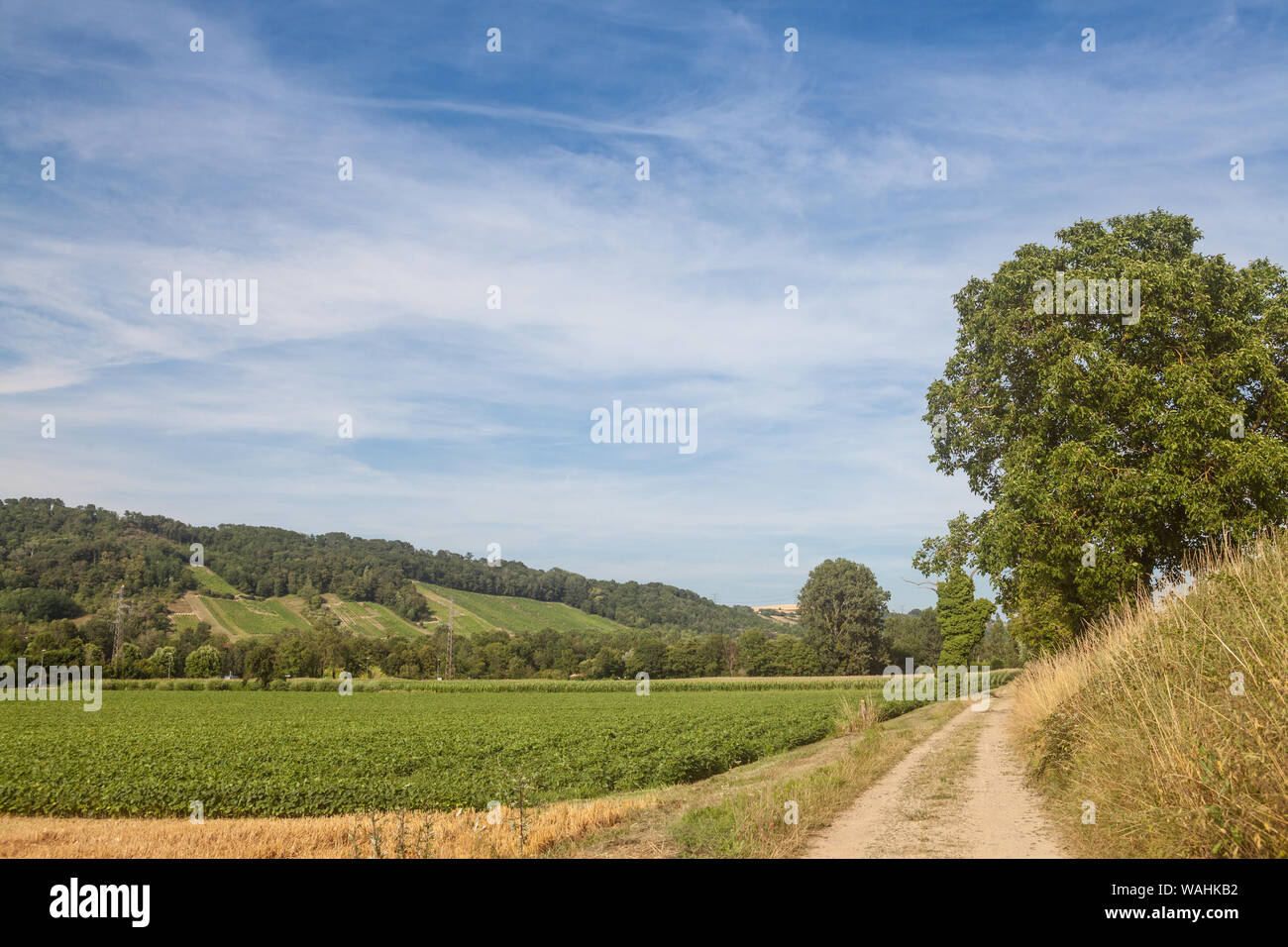 Paysage de campagne francaise Banque de photographies et d’images à ...