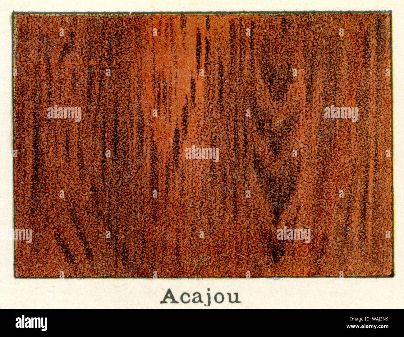 Bois D'acajou Banque d'image et photos - Alamy