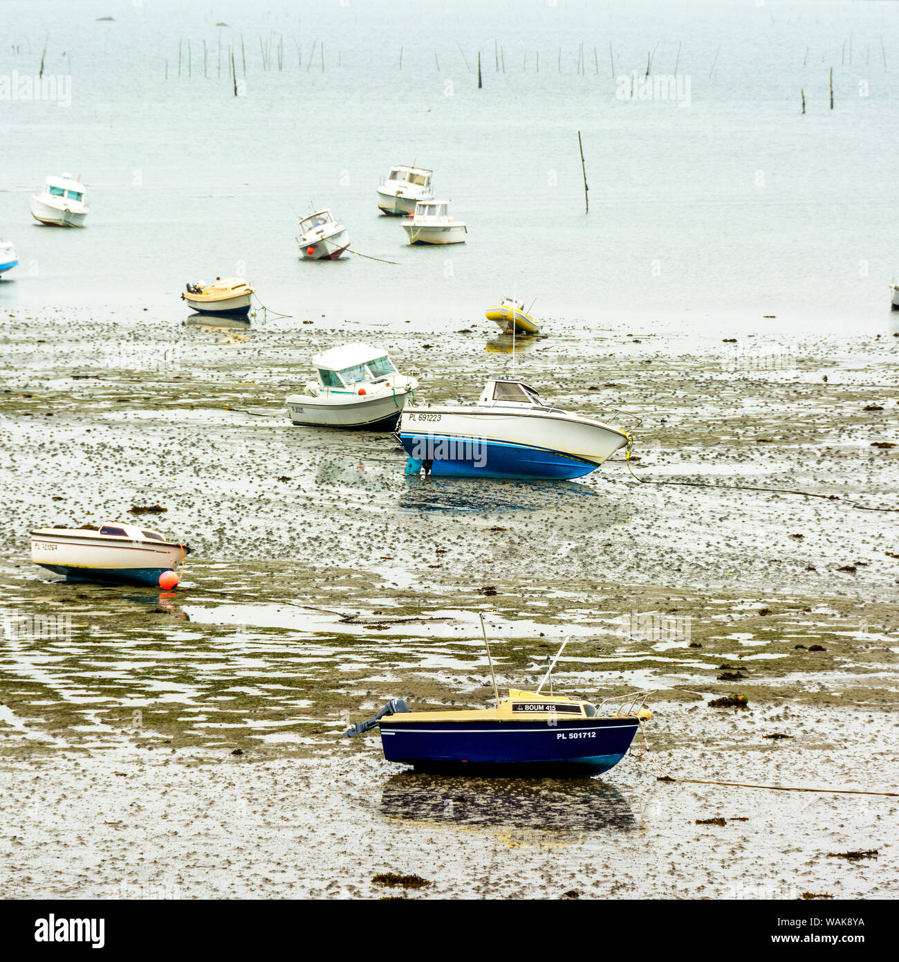 Plages marée basse bretagne Banque de photographies et d’images à haute ...