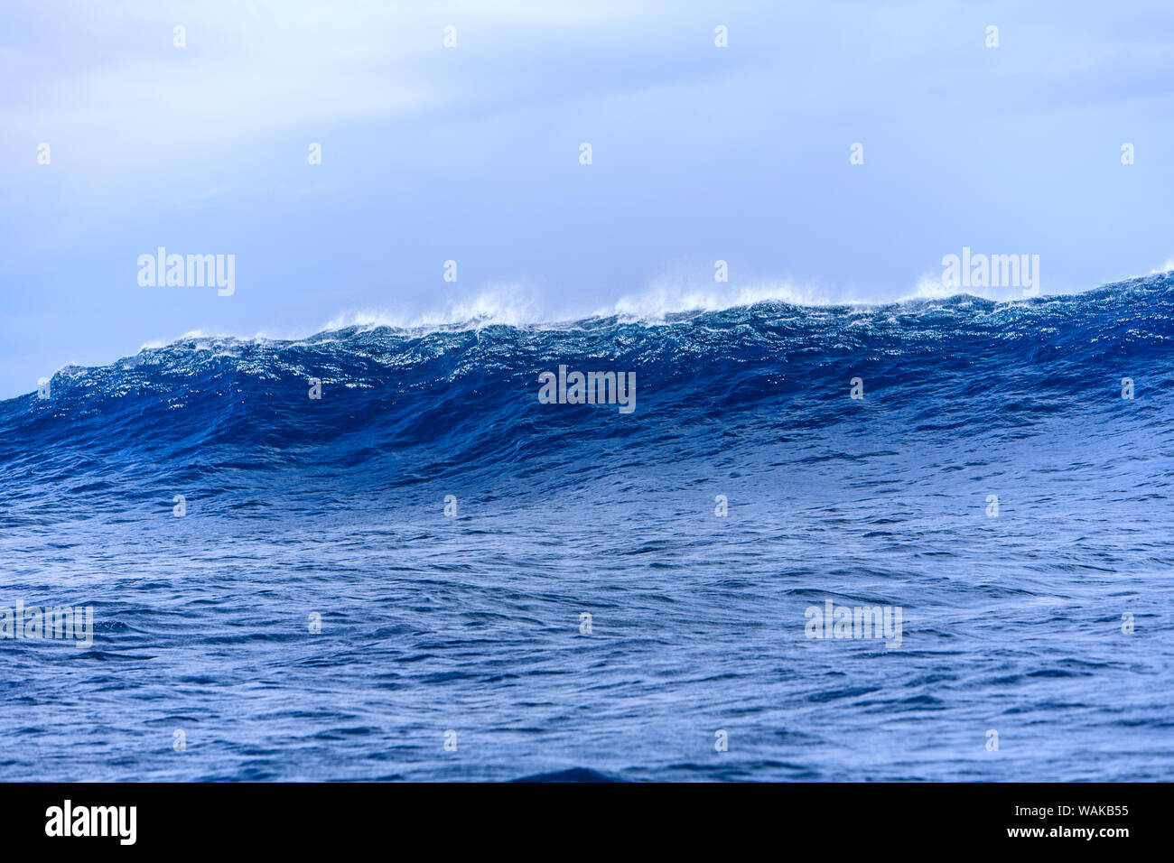 Vague géante Banque de photographies et d’images à haute résolution - Alamy