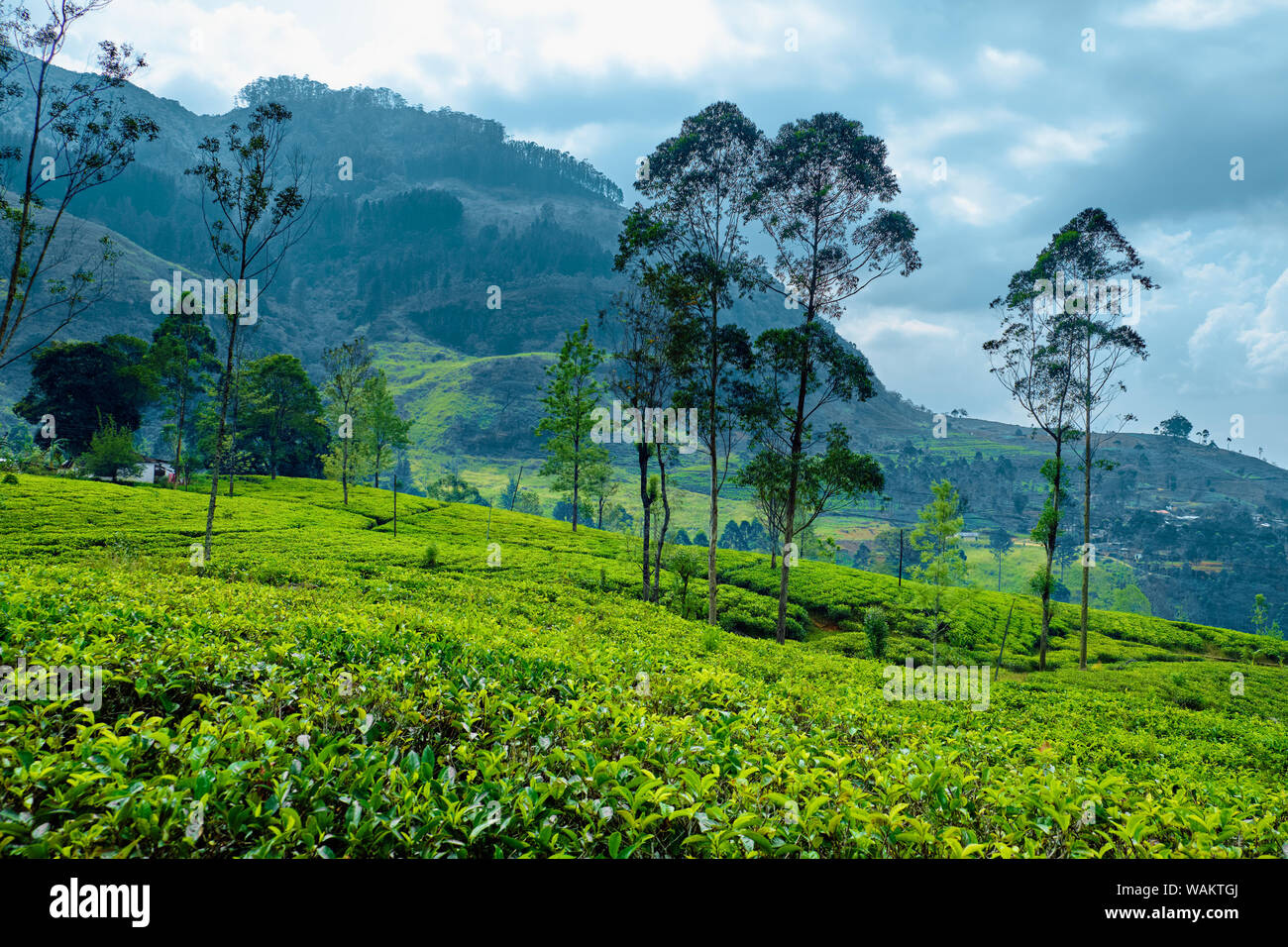 Image Agricole Banque d'image et photos - Alamy