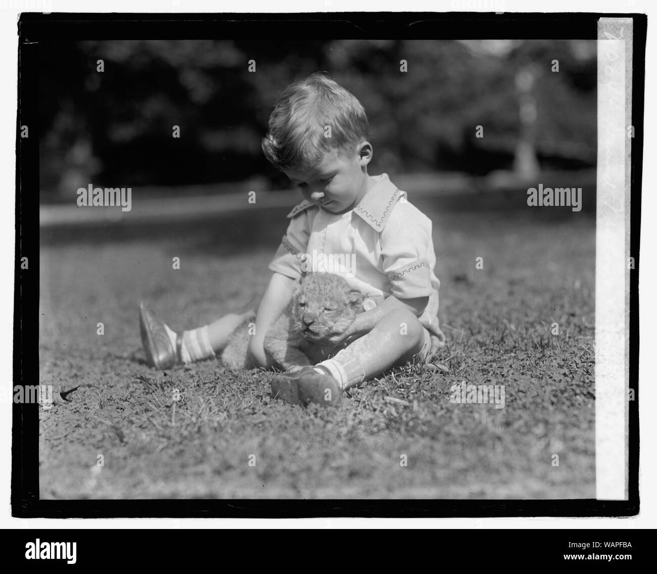 David malone Banque de photographies et d’images à haute résolution - Alamy