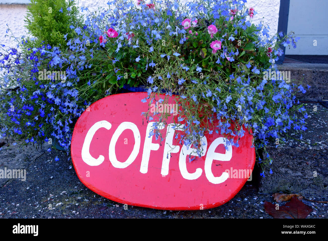 Coffee shop signage Banque de photographies et d’images à haute ...