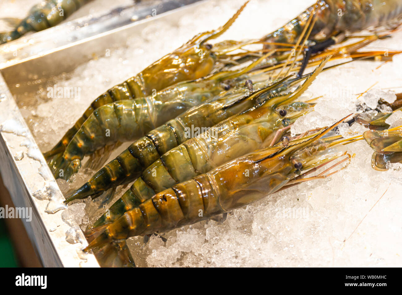 Groupe grand crevettes fraîches sur la glace en supermarché marché ...