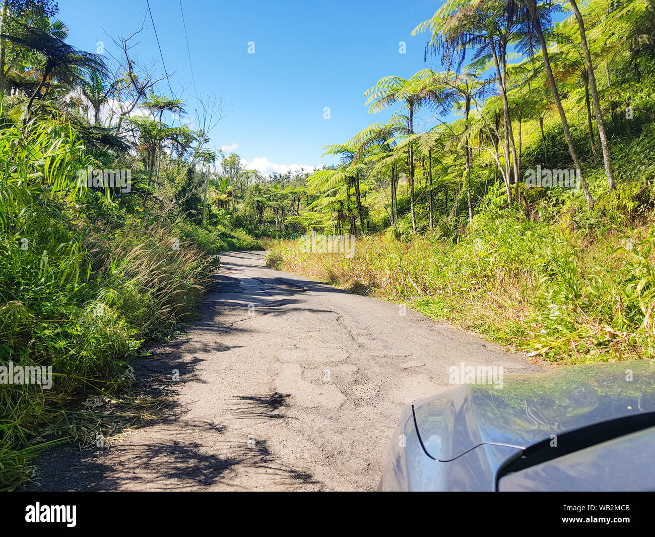 Ruta panoramica road à Porto Rico. USA. Cette route est peu utilisé par ...