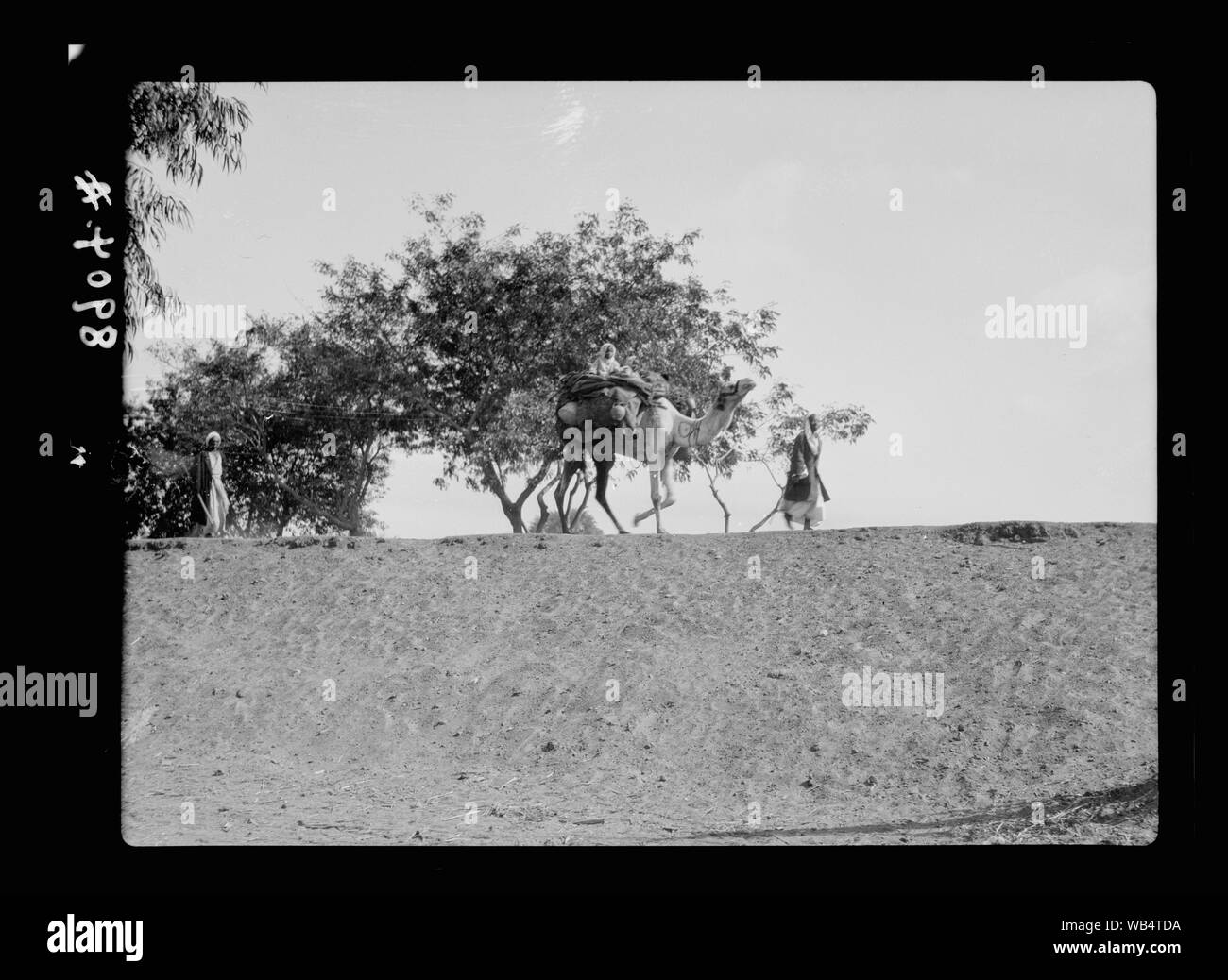 Enfants paysans Banque de photographies et d’images à haute résolution ...