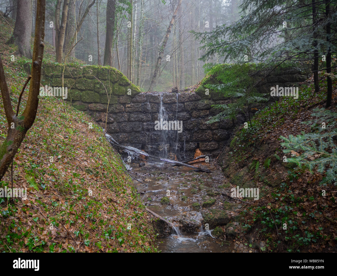 Arbres mur de pierre Banque de photographies et d’images à haute ...