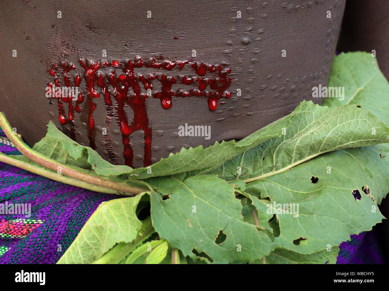 Skin scarification Banque de photographies et d’images à haute ...