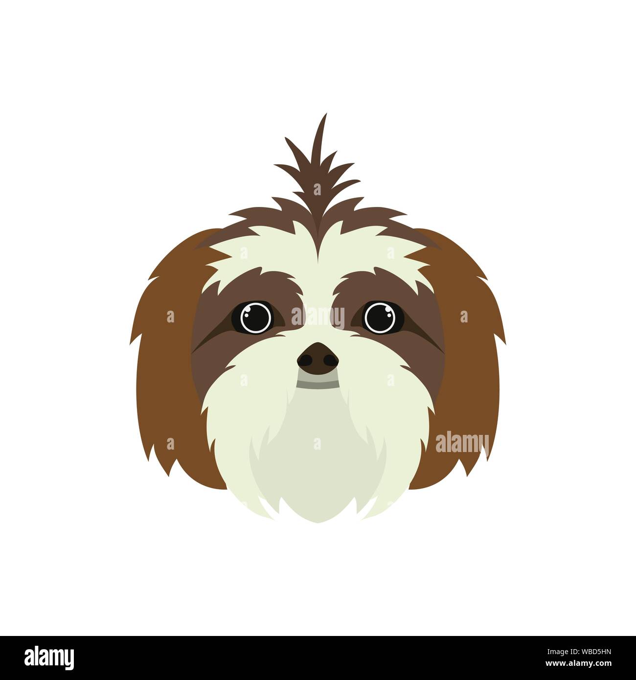 Visage de chien shih tzu Banque d'images vectorielles - Alamy
