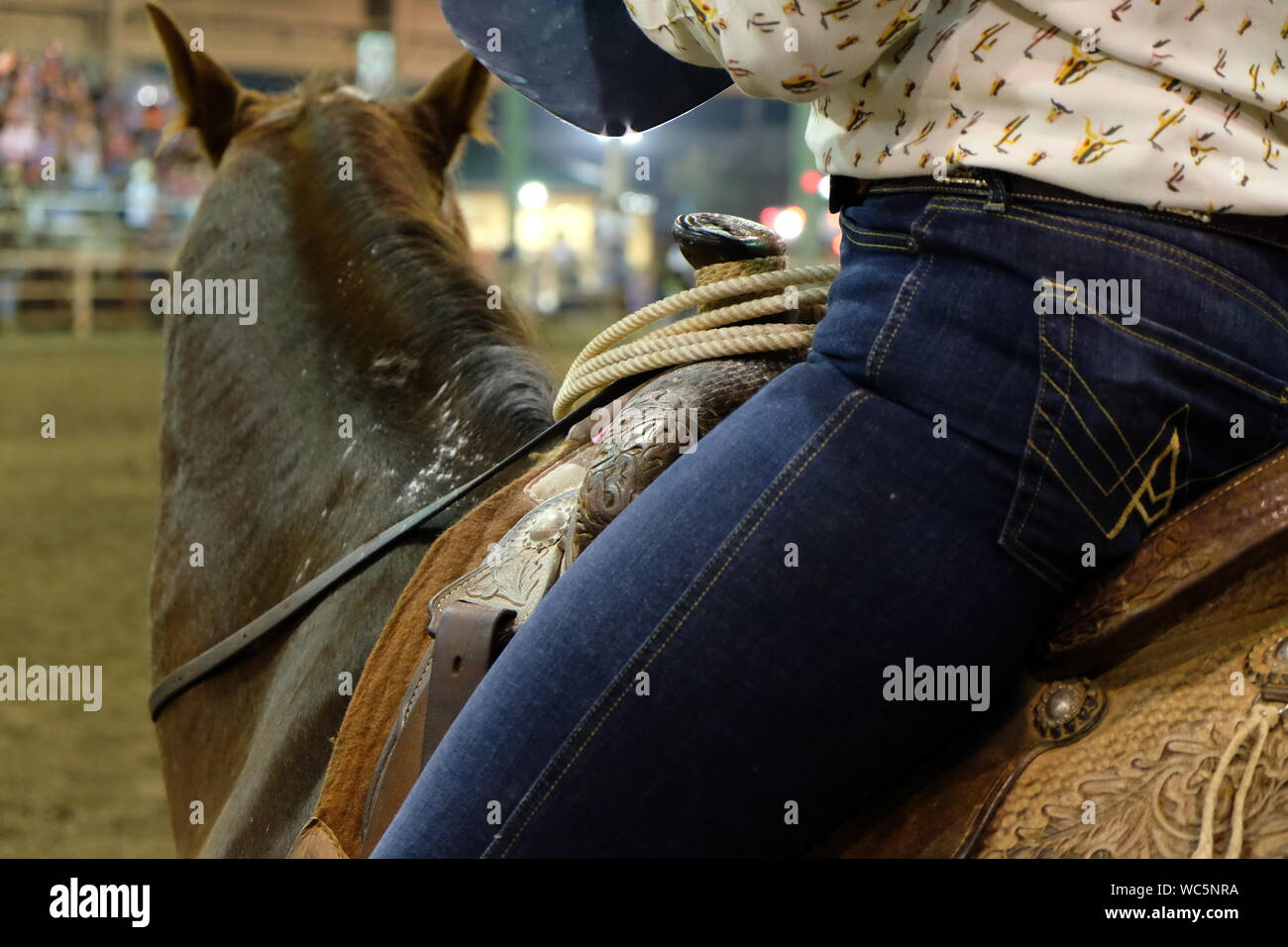 Cheval assis Banque de photographies et d’images à haute résolution - Alamy