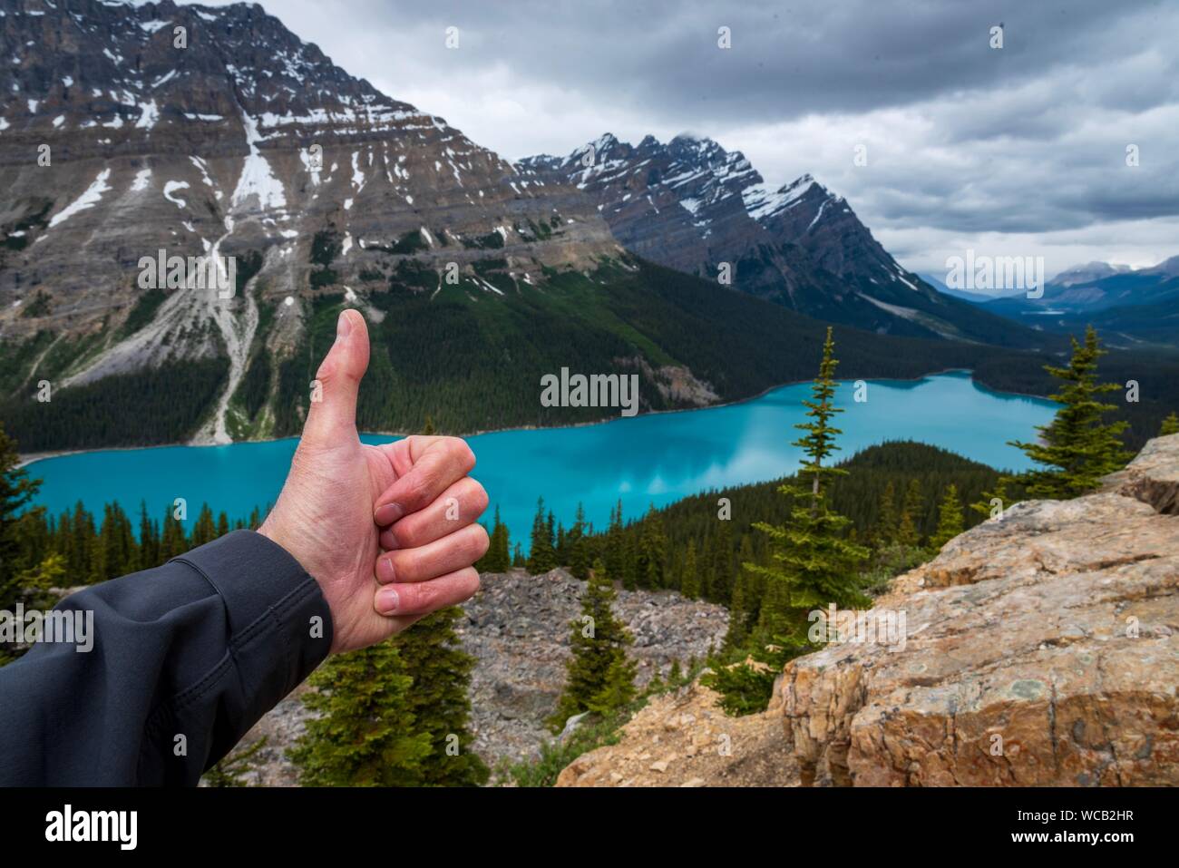 Parc national du lac peyto banff Banque de photographies et d’images à ...