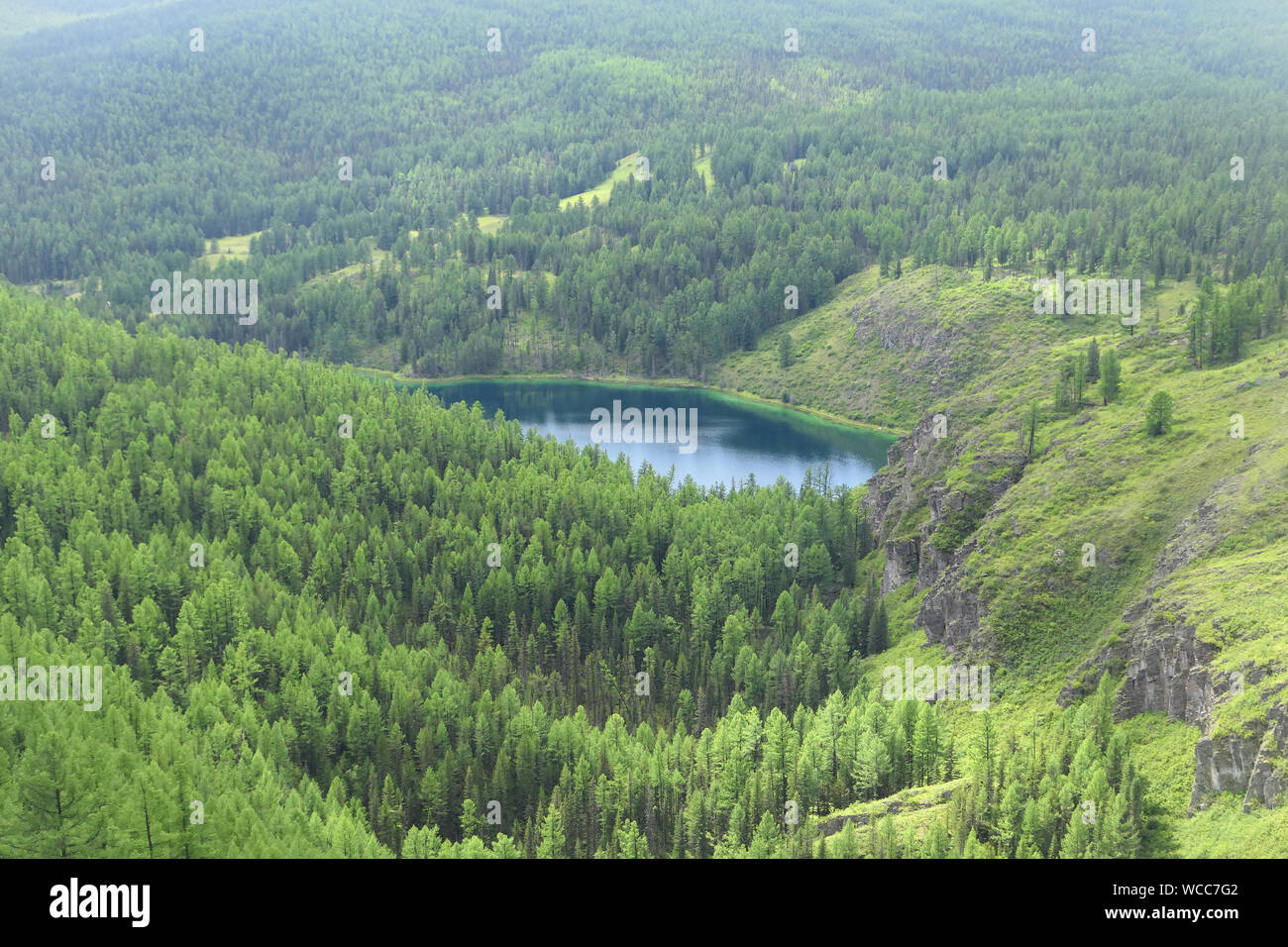 Foret taiga république altaï Banque de photographies et d’images à ...