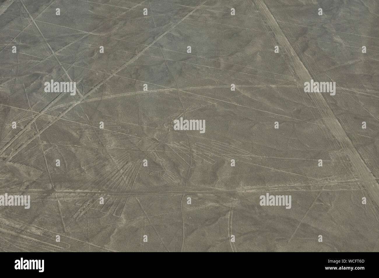 Le Condor géoglyphe figure dans le désert côtier péruvien connu sous le ...