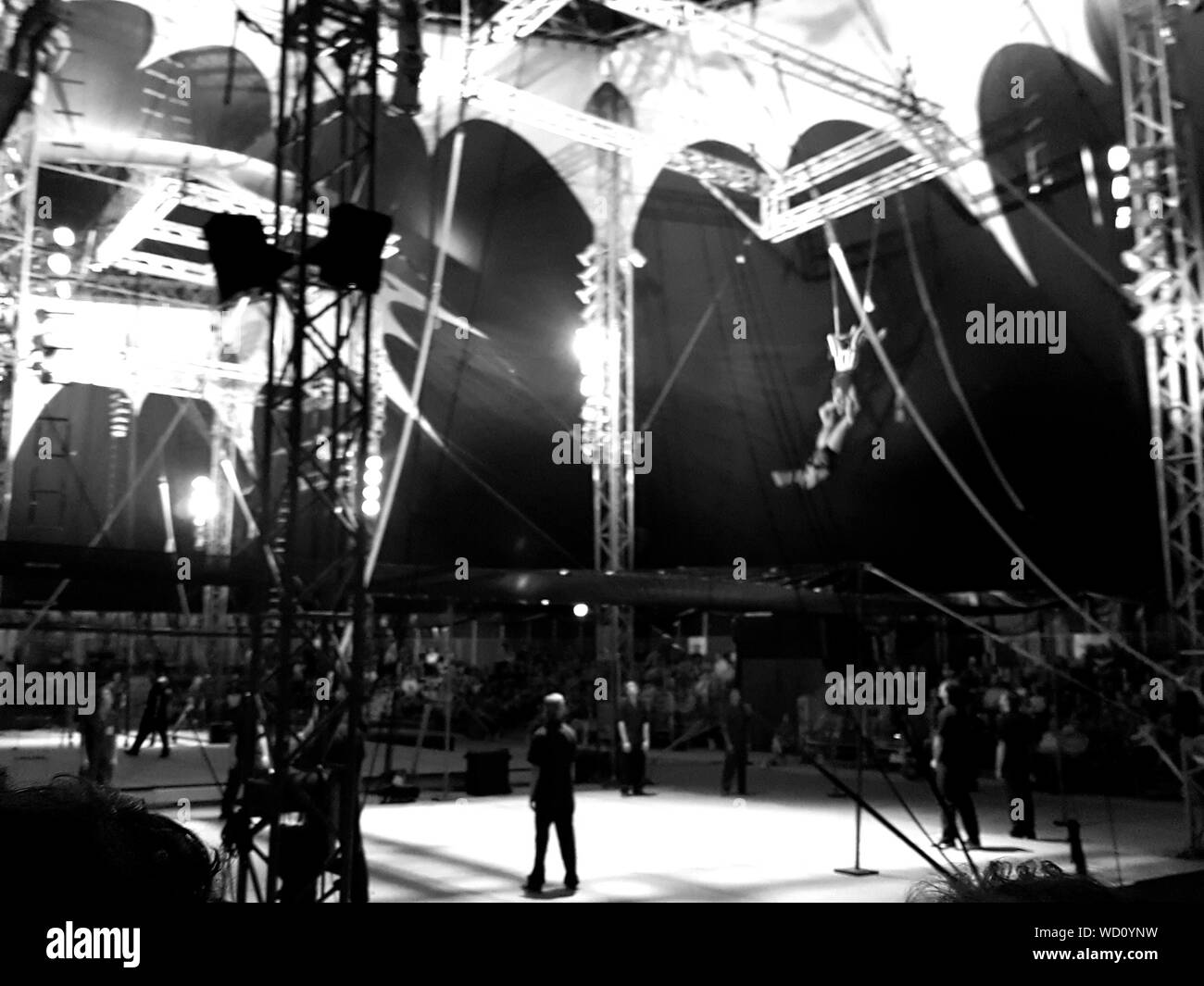 Trapeze artist circus Banque de photographies et d’images à haute ...