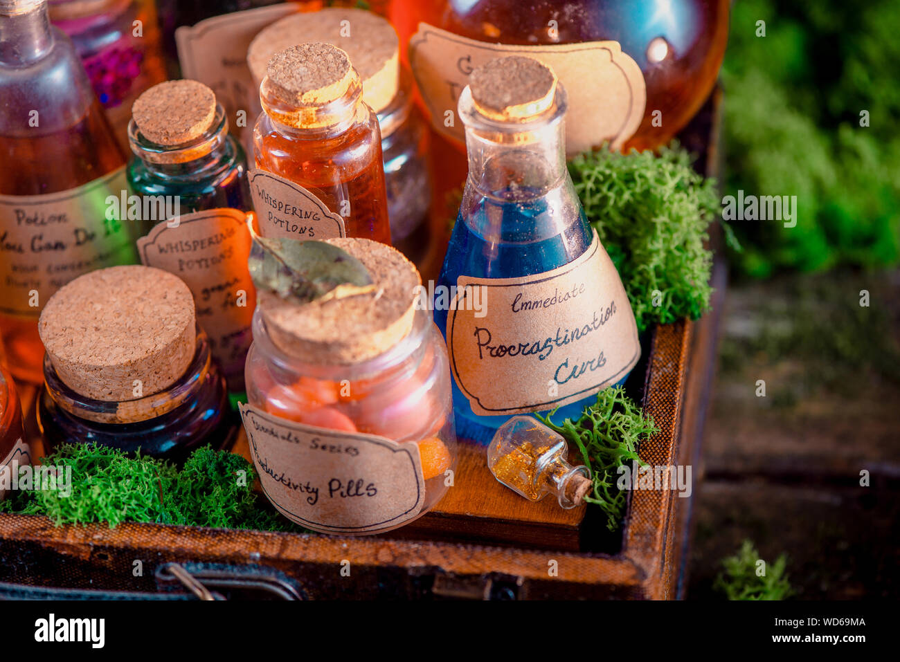 Le chaudron de potions Banque de photographies et d’images à haute ...