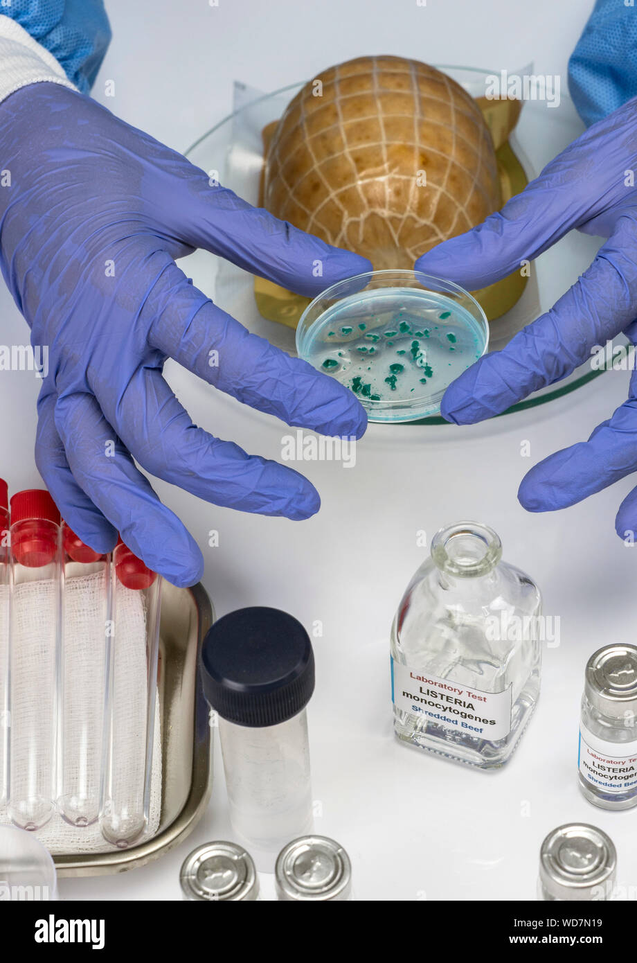 Des analyses d'experts de viande farcies contaminés par des bactéries ...