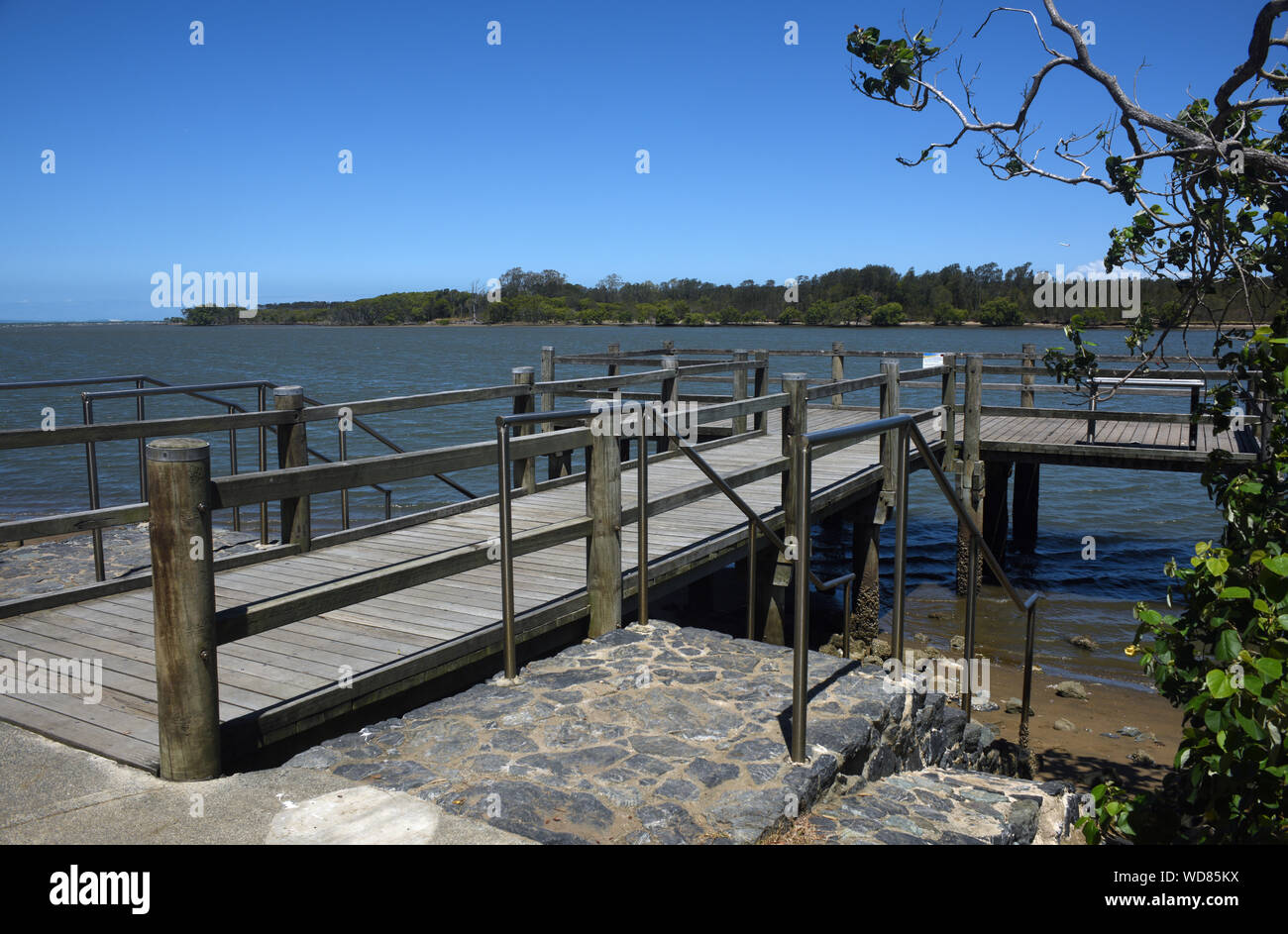 Arbre sur la plage de nudgee Banque de photographies et d’images à ...