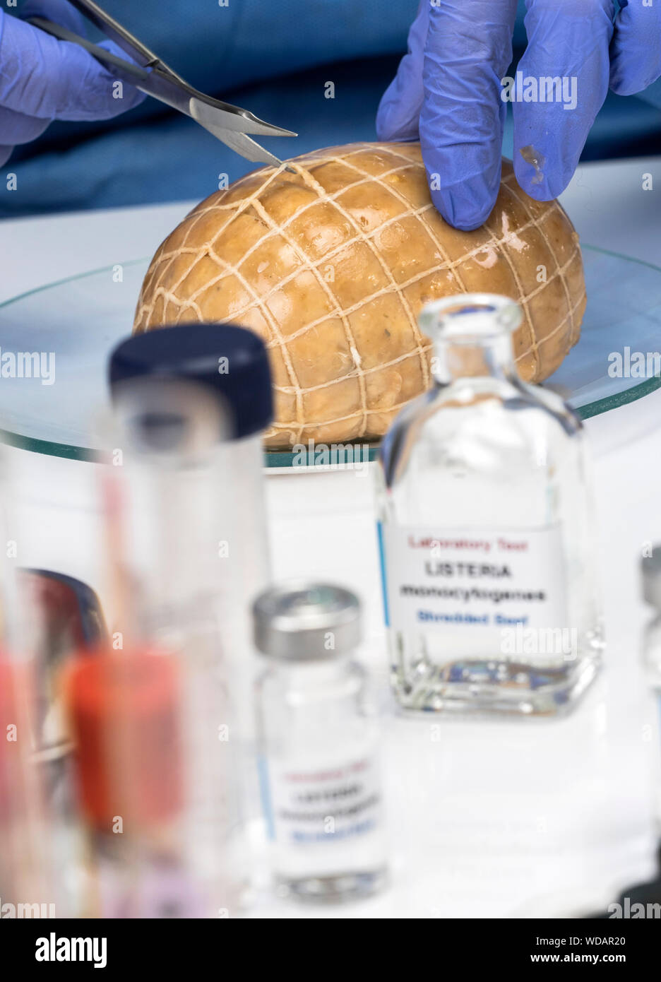 Des analyses d'experts de viande farcies contaminés par des bactéries ...