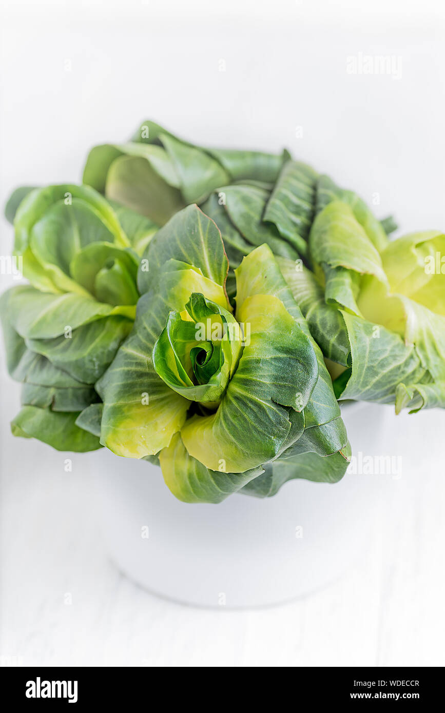 Légume vert à feuilles Banque de photographies et d’images à haute ...