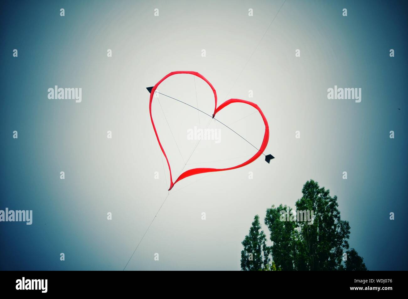 Coeur de cerf volant Banque de photographies et d’images à haute ...