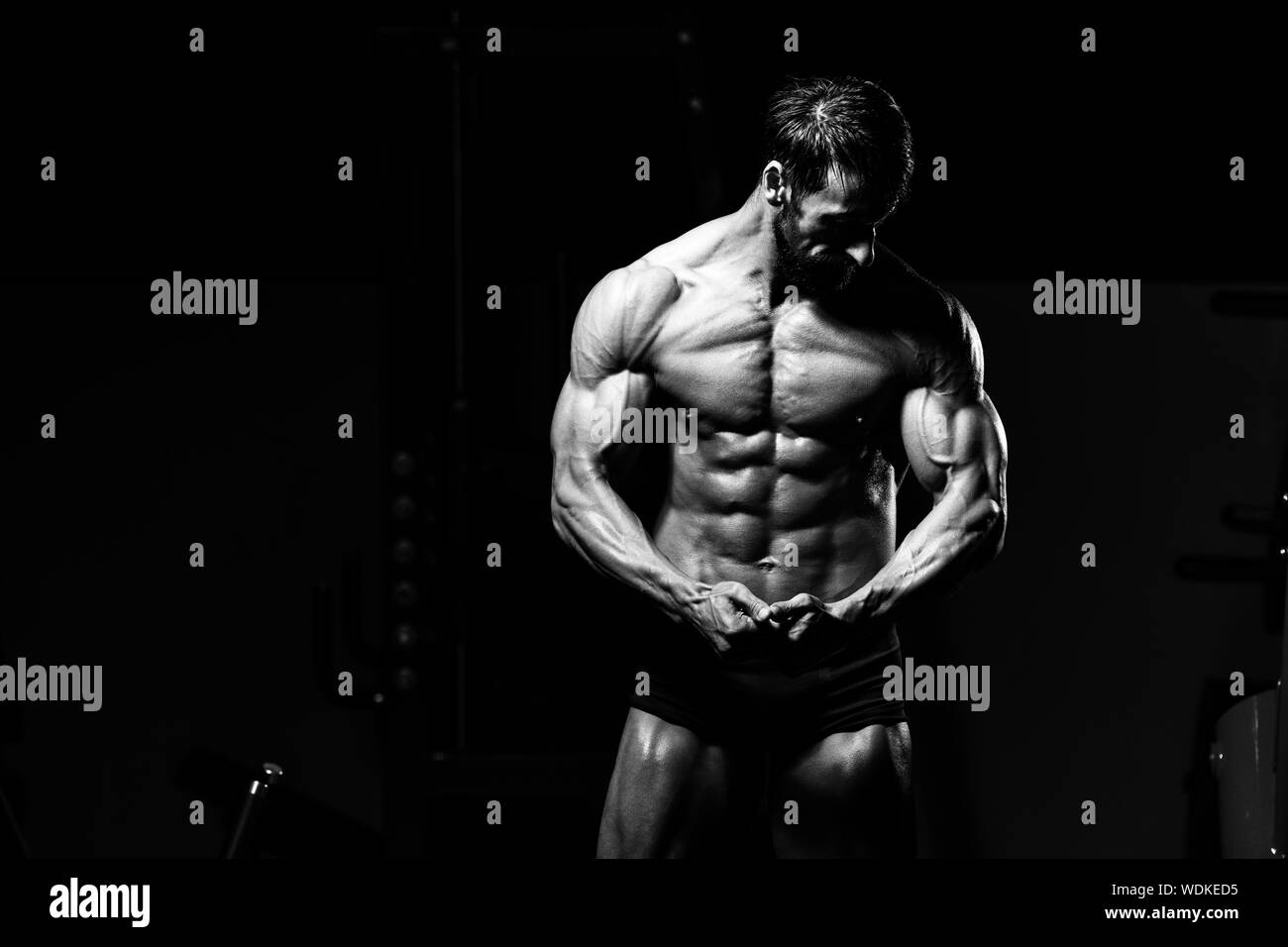 Portrait Dun Homme En Bonne Condition Physique Adultes Montrant Son