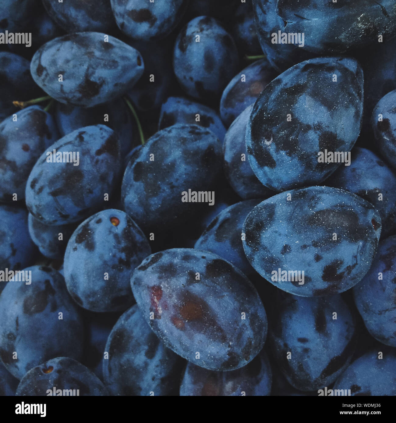 Prunes Noires Banque d'image et photos - Alamy