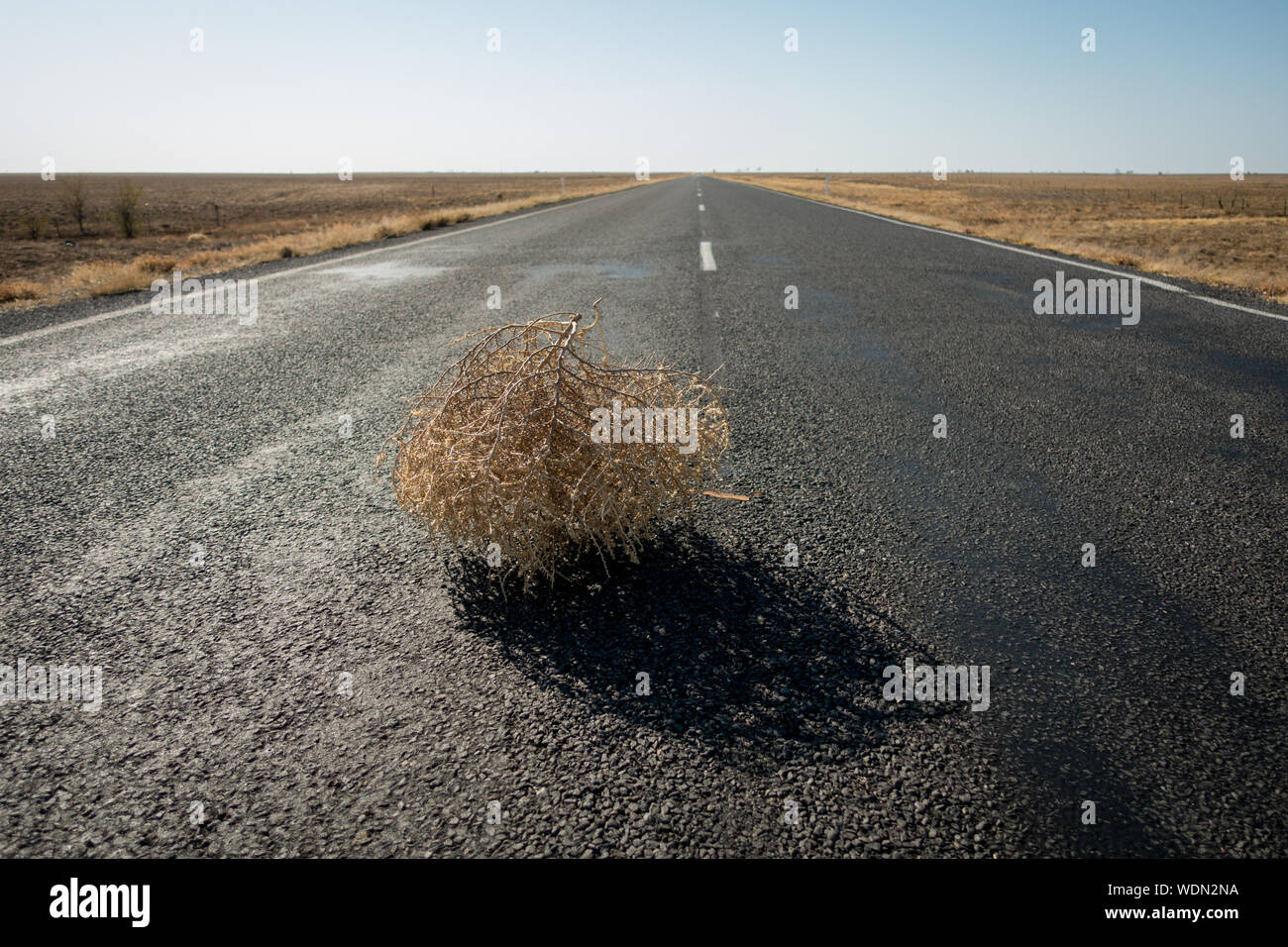 Tumbleweed desert Banque de photographies et d’images à haute ...