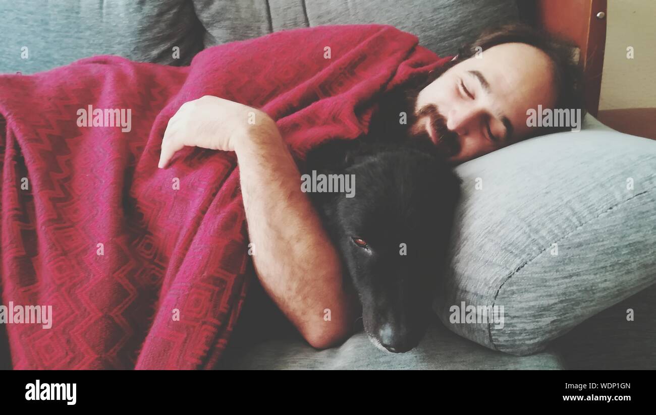 Dog man sleeping bed home bed Banque de photographies et d’images à ...