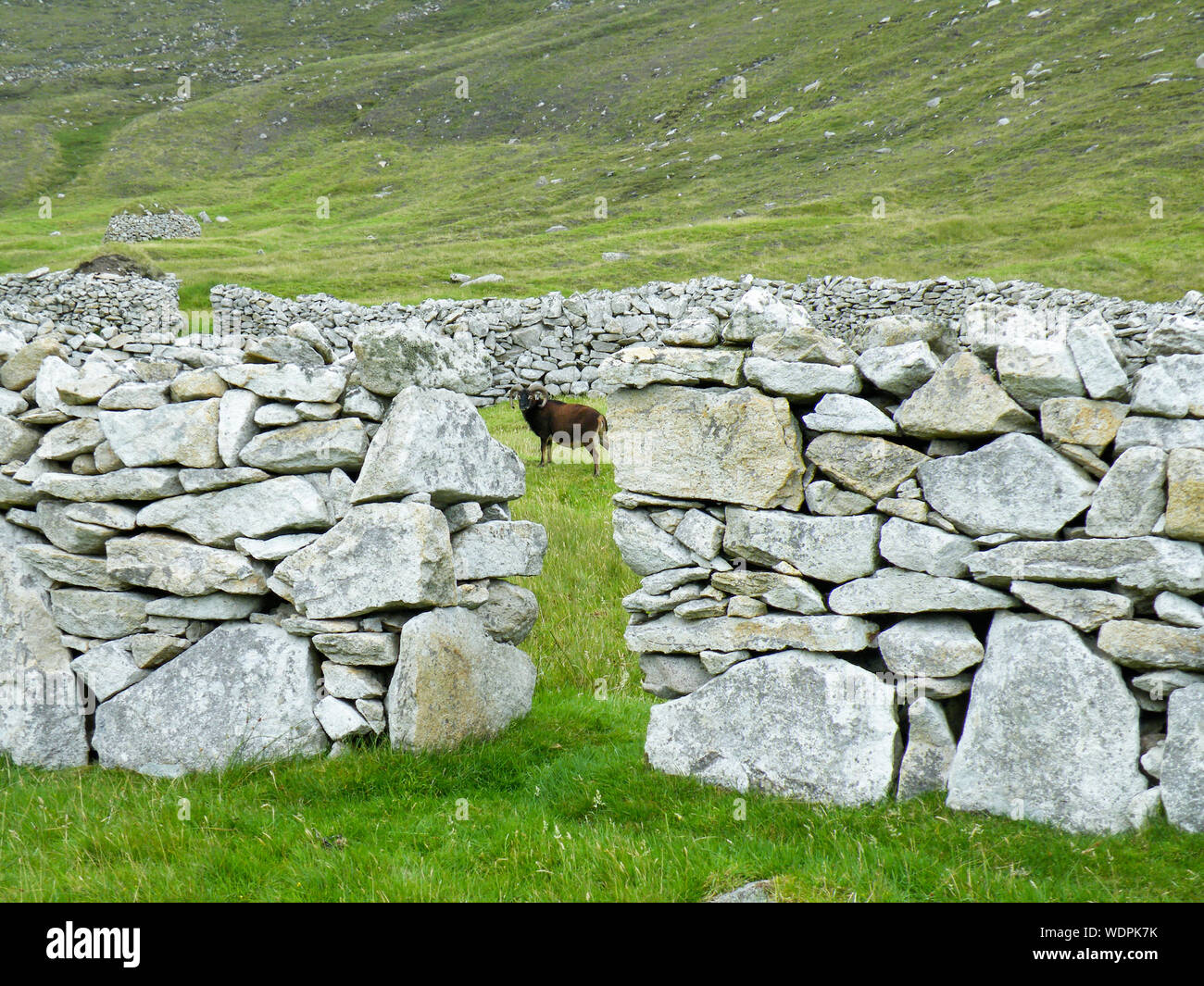 Mur de pierre de champ Banque de photographies et d’images à haute ...