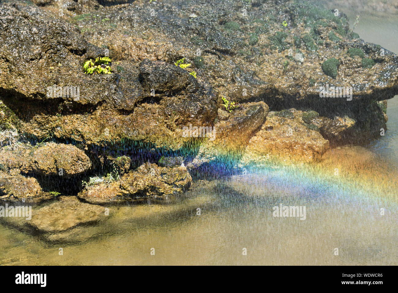 Soupe primordiale Banque de photographies et d’images à haute ...