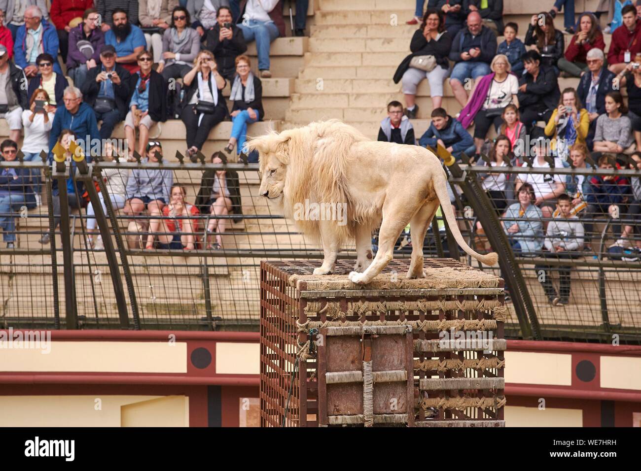 En France, en Vendée, Les Epesses, Le Puy du Fou parc à thème ...