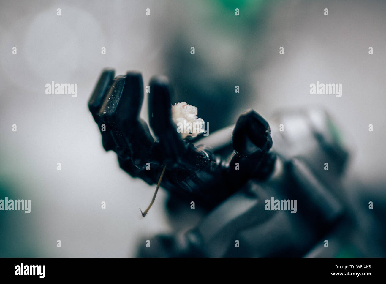 Robot de fleurs Banque de photographies et d’images à haute résolution ...