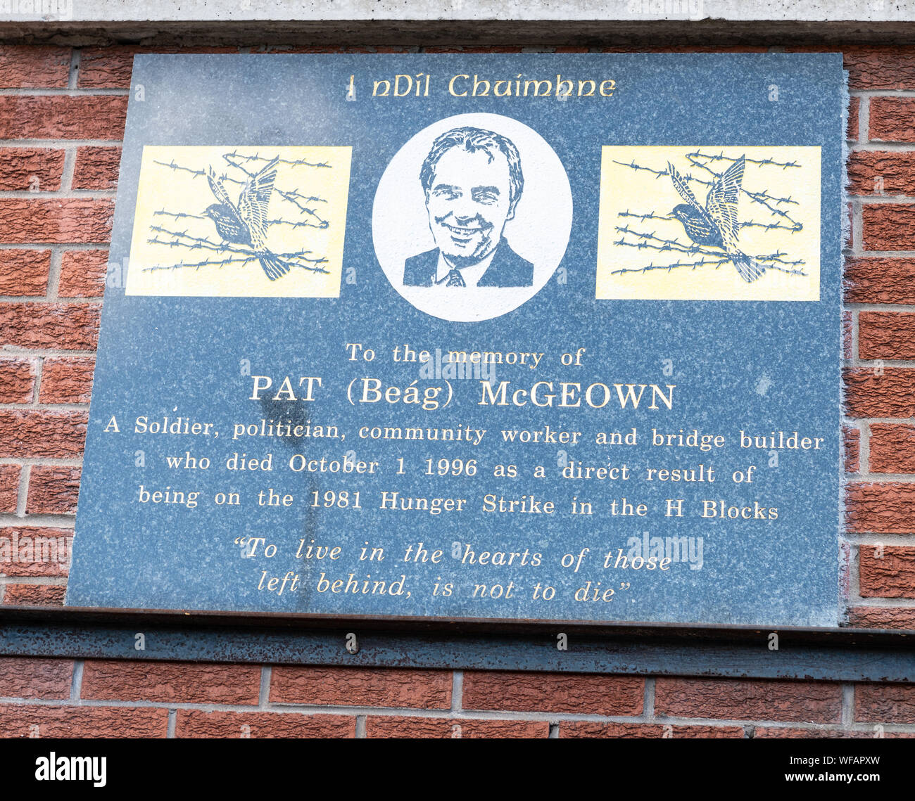 Pat mcgeown Banque de photographies et d’images à haute résolution - Alamy